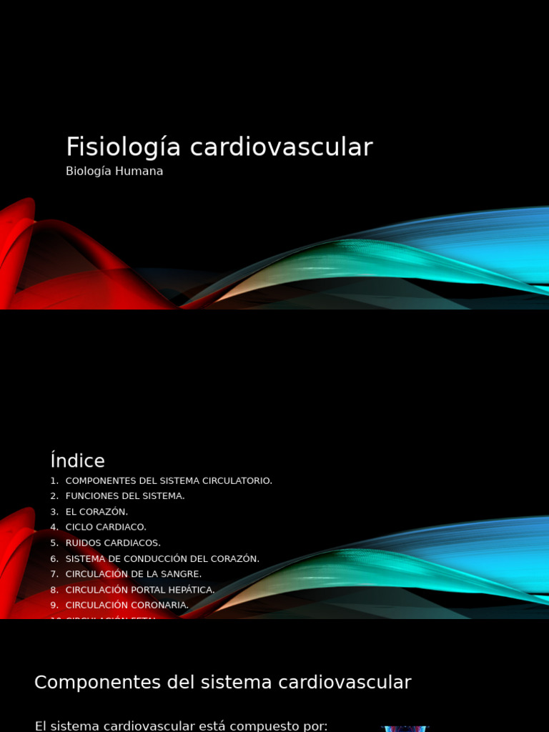 FisiologÃ-A Cardiovascular 1 | PDF | Sistema circulatorio | Corazón