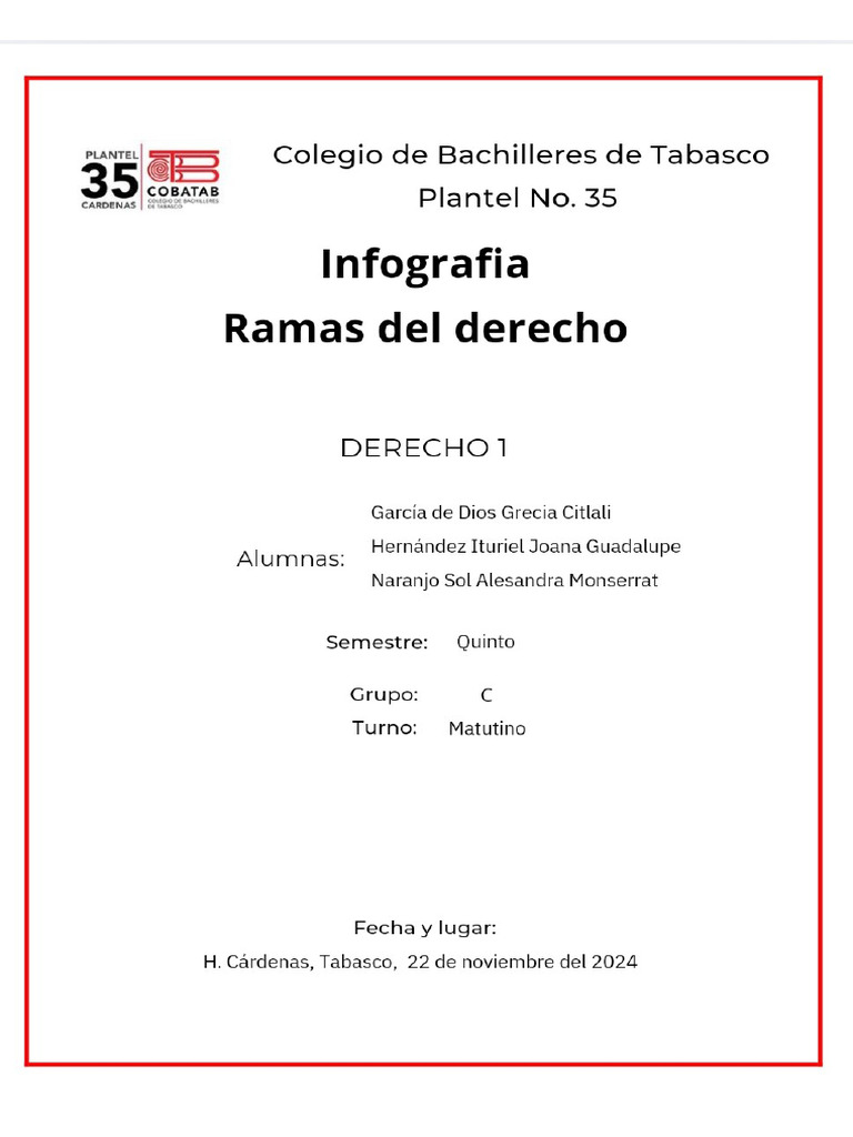 Derecho Ramas | PDF