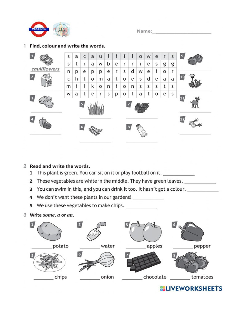 Worksheet 920774 | PDF