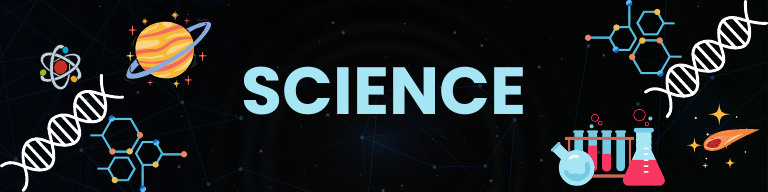 Science Display Board Banner | PDF