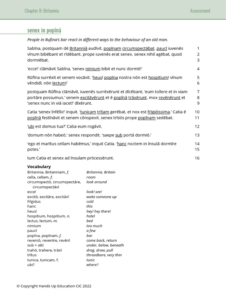 Stage 8 Assessment | PDF | Semantic Units | Linguistics