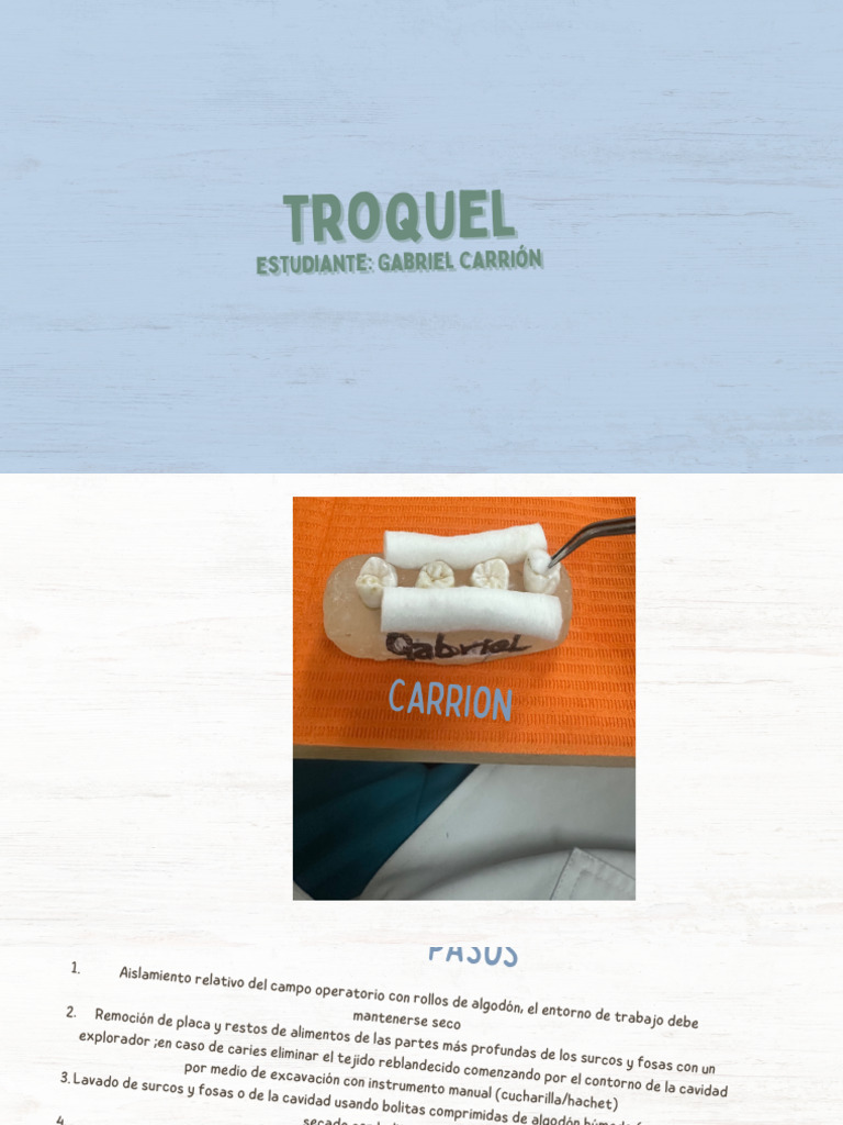 Troquel de Servicio | PDF