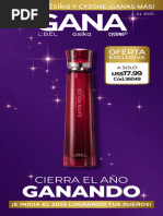 Hoja de Rifa 100 Numeritos | PDF | Microsoft Excel | Microsoft Office