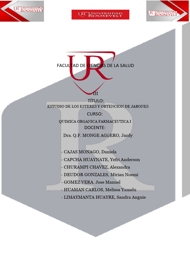 Informe Quimica Organica Prac 12 | PDF | Ester | Jabón