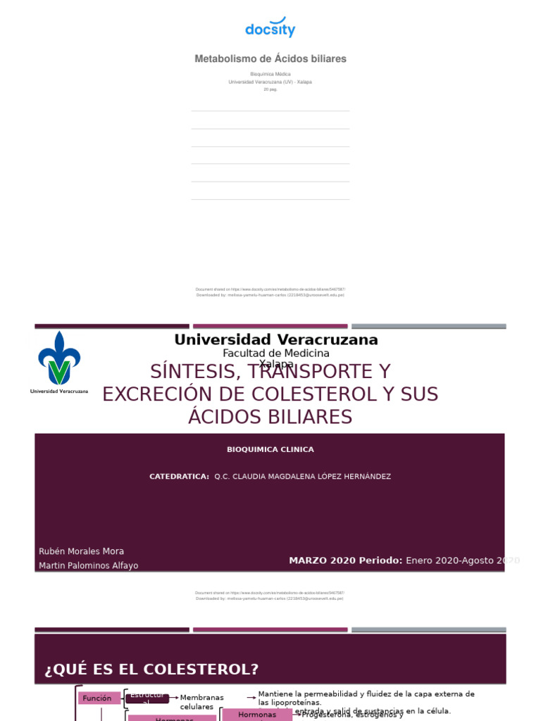 Metabolismo de Acidos Biliares Bio | PDF | Bilis | Colesterol