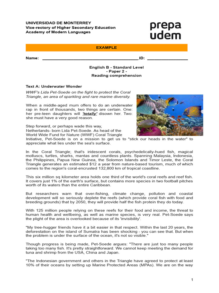 IB - English B - Standard Level - Paper 2 - Reading Comprehension | PDF ...