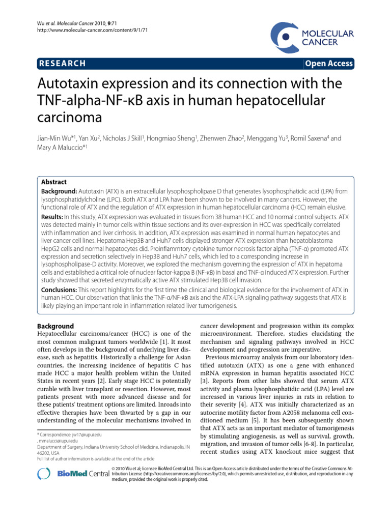 Autotaxin expression and its connection with the TNF-alpha-NF-κB axis ...