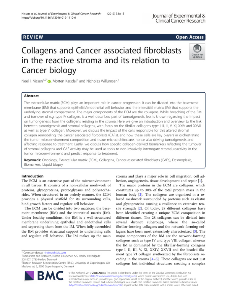 Collagens and Cancer Associated Fibroblasts in The Reactive Stroma and ...