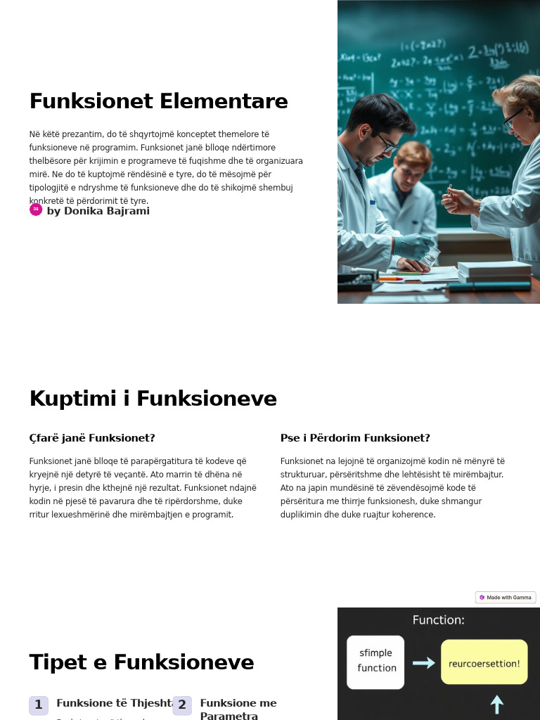 Funksionet Elementare | PDF