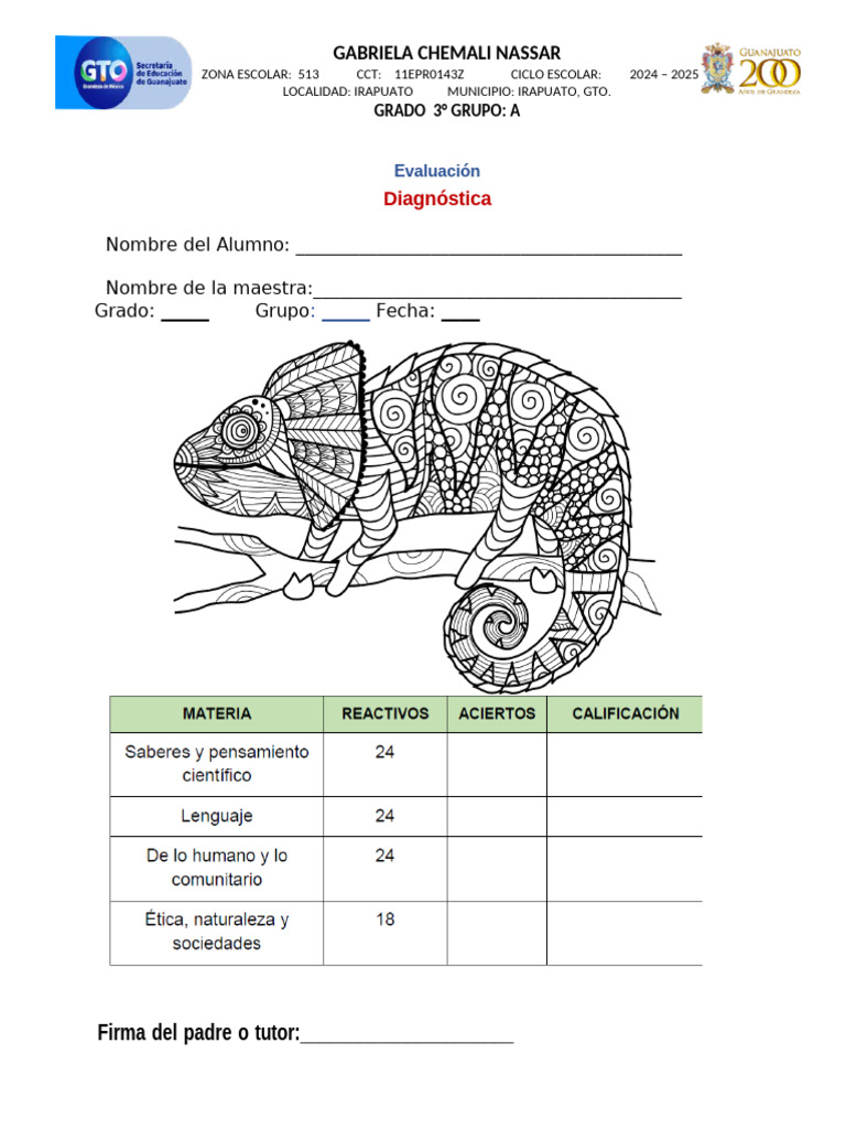 Examen Diagnóstico Tercer Grado 2024-2025 | PDF