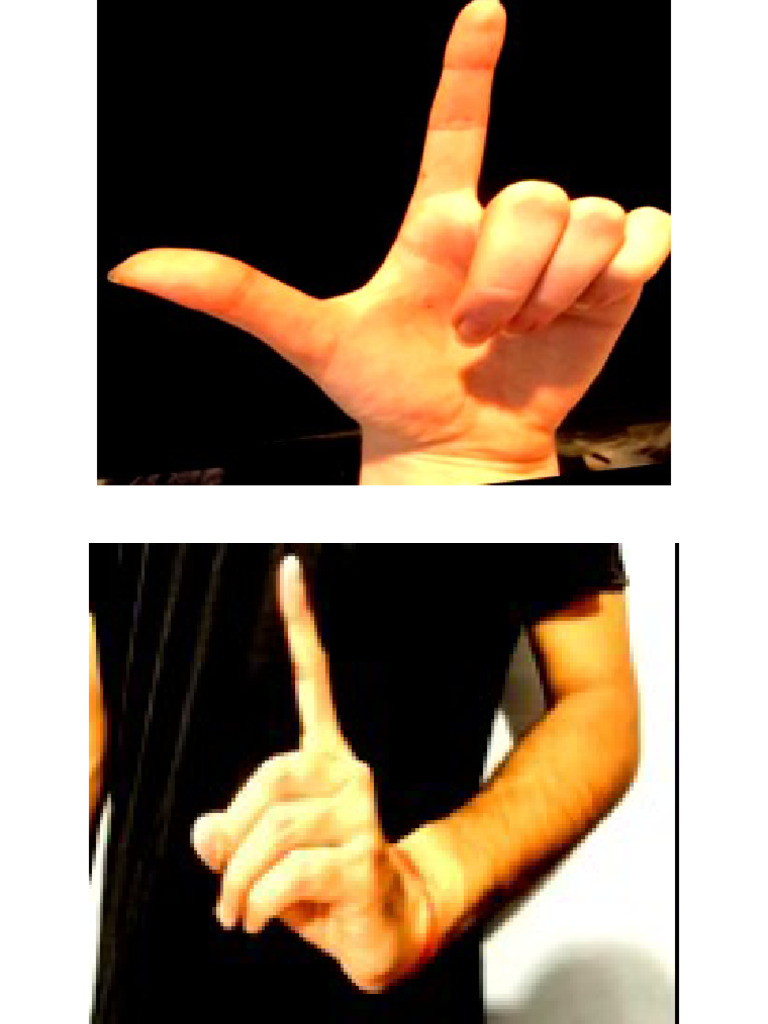 Dictionnaire de Signes | PDF