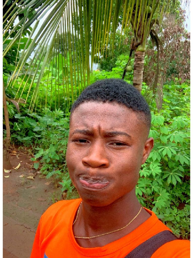 Com Google Android Apps Nbu Files Documentbrowser | PDF