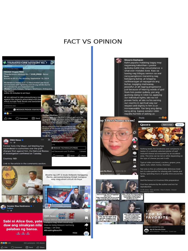 Fact Vs Opinion | PDF