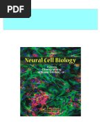 Coordination and Response - IGCSE Biology Notes (2020) | PDF | Synapse ...