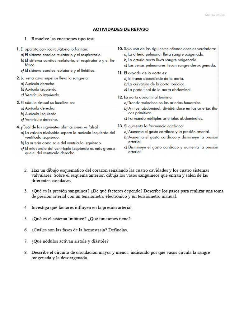 Actividades de Repaso | PDF