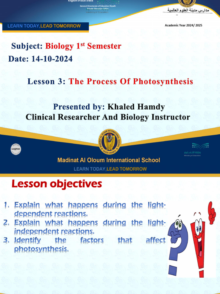 Grade 10 Lesson 9.3 The Process of Photosynthesis Part I | PDF ...