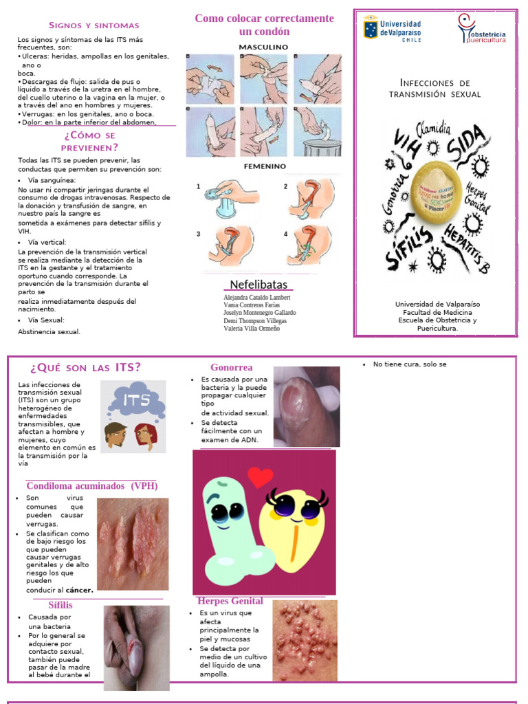 Triptico ITS | PDF | Infección transmitida sexualmente | Virus