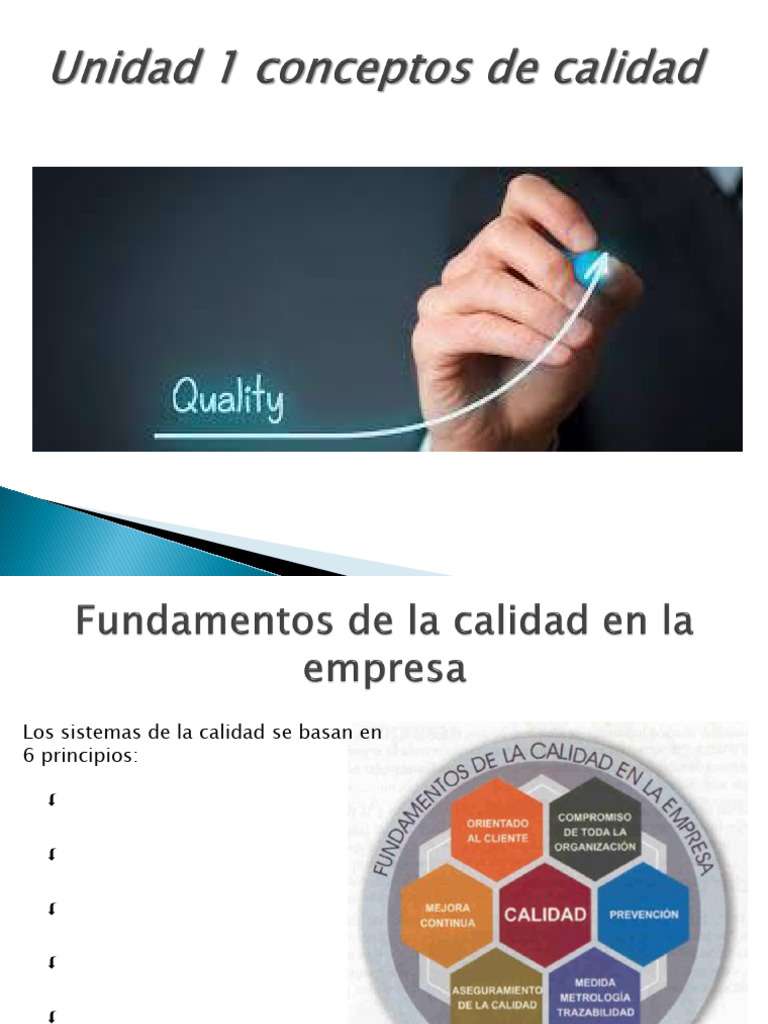 Principios Clave de Sistemas de Calidad | PDF | Calidad (comercial ...