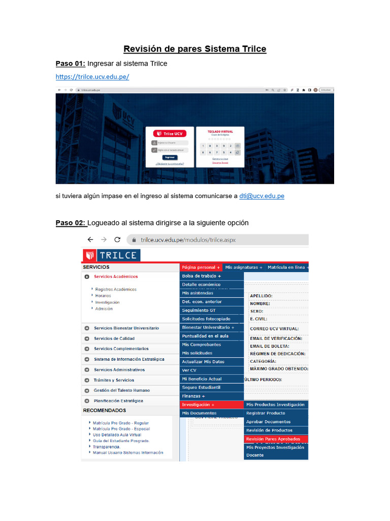 Revisión de Pares Sistema Trilce | PDF