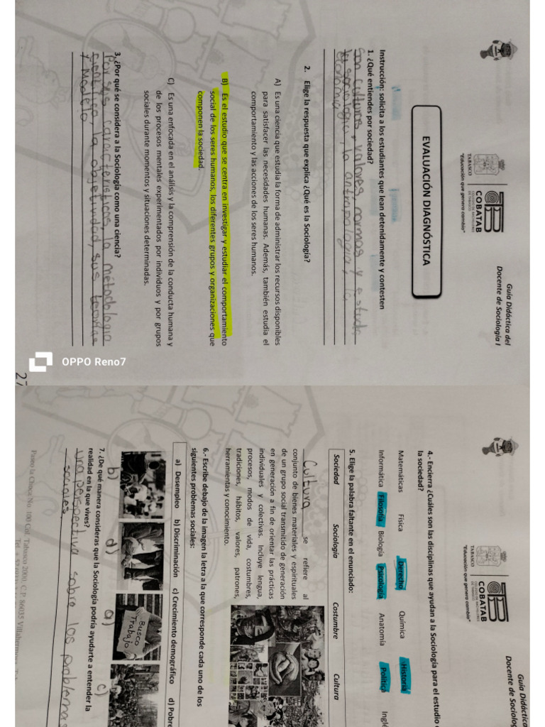 Arlette Michelle Román Bernardo 5to D | PDF