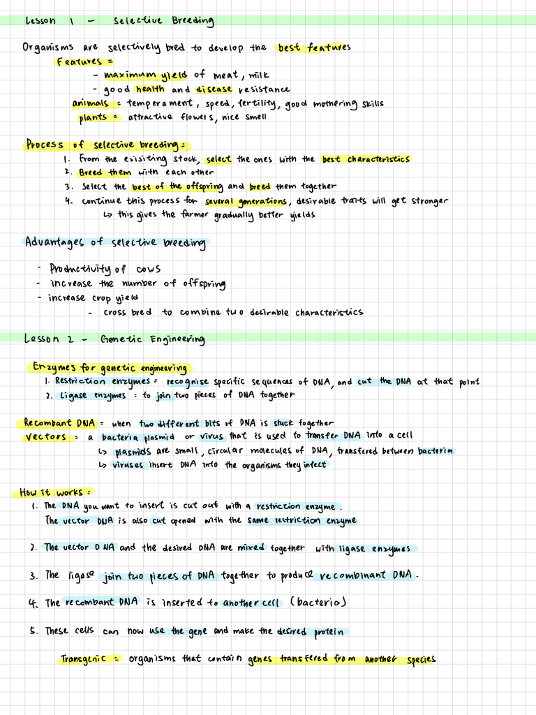 Selective Breeding and Genetic Engineering | PDF | Molecular Cloning ...