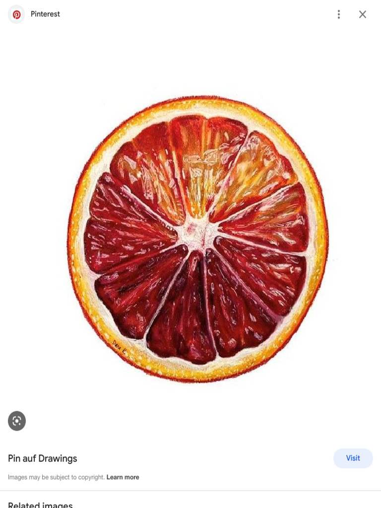 Blood Orange Drawing - Google Search | PDF