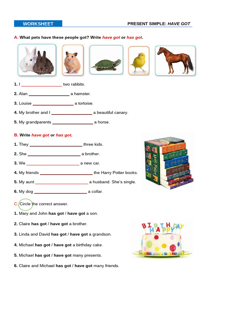 English Grammar: Have/Has Got Worksheet | PDF
