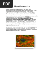 Microfilamentos: Actina y Movimientos Celulares | PDF | Actina ...