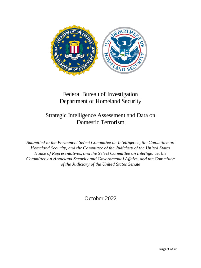 fbi-dhs-domestic-terrorism-strategic-report-2022 | PDF | United States ...