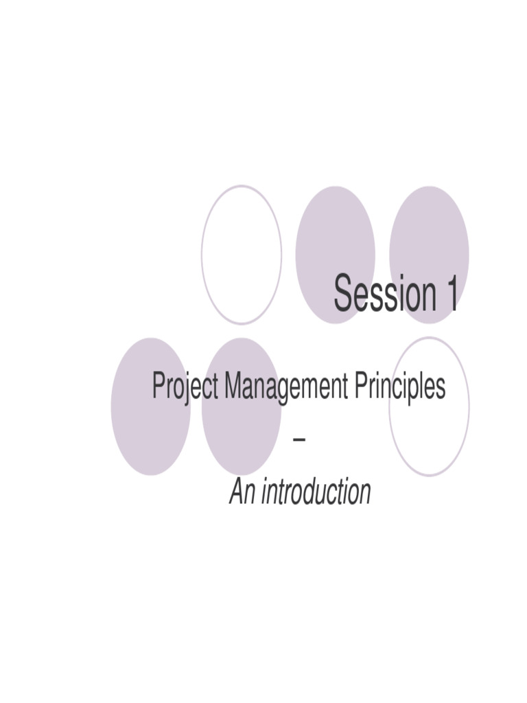 Introduction to Project Management Principles | PDF | Project ...
