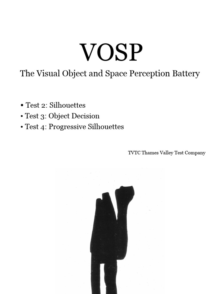 VOSP | PDF