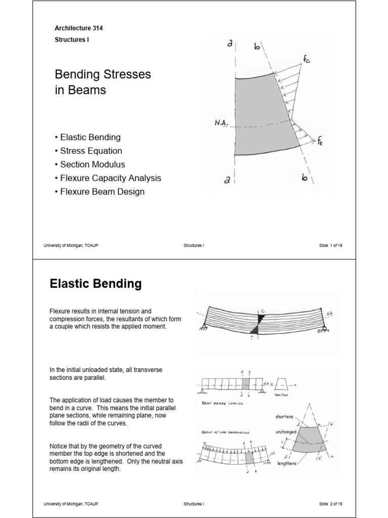 Structural Engineering Basics | PDF | Bending | Elasticity (Physics)