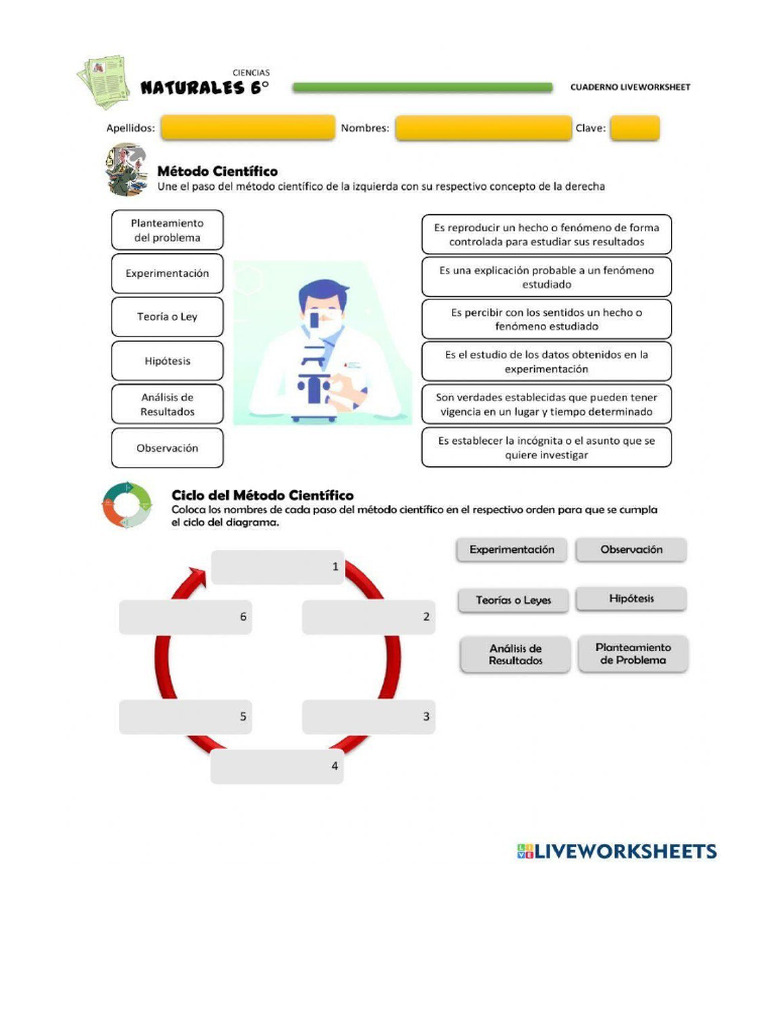Actividad Componente Cognitivo | PDF