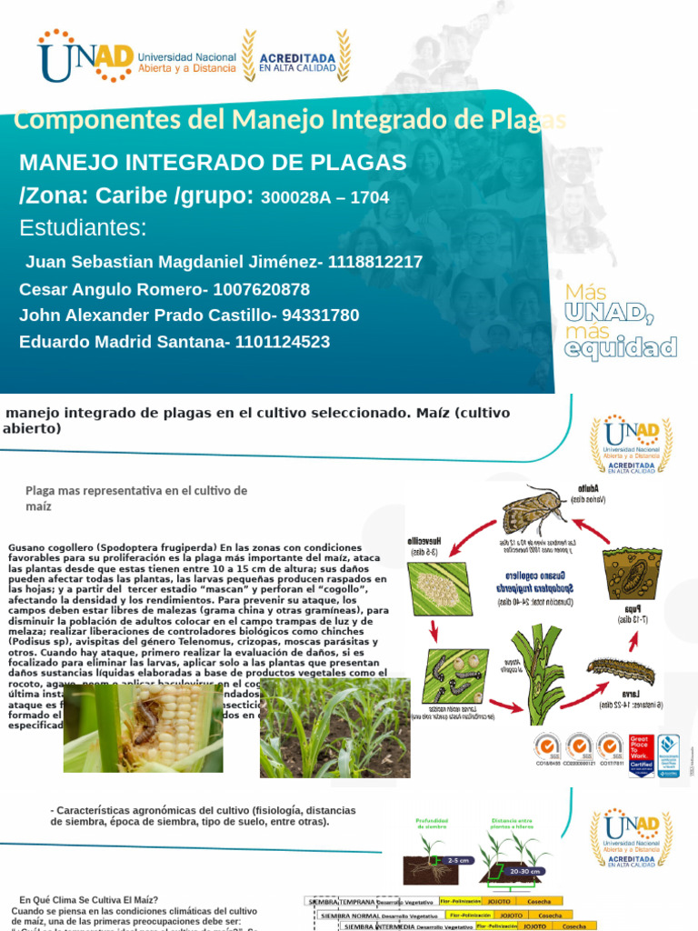 Manejo Integrado de Plagas | PDF | Agricultura | Maíz