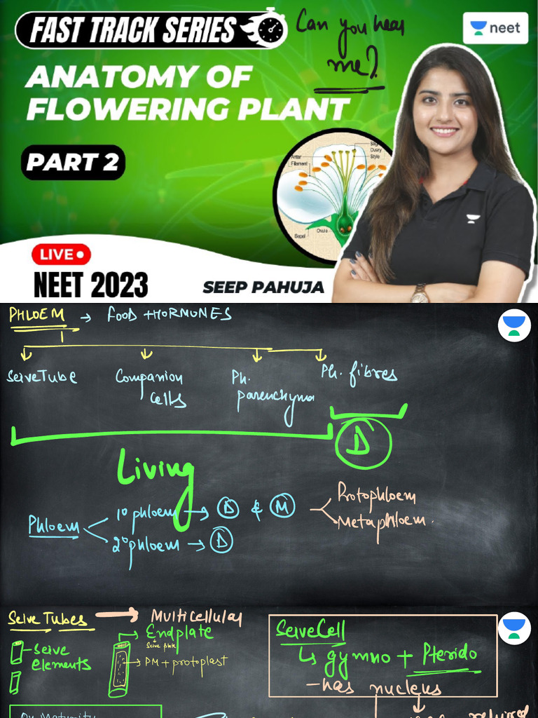 Anatomy of Flowering Plant Part 2 | PDF