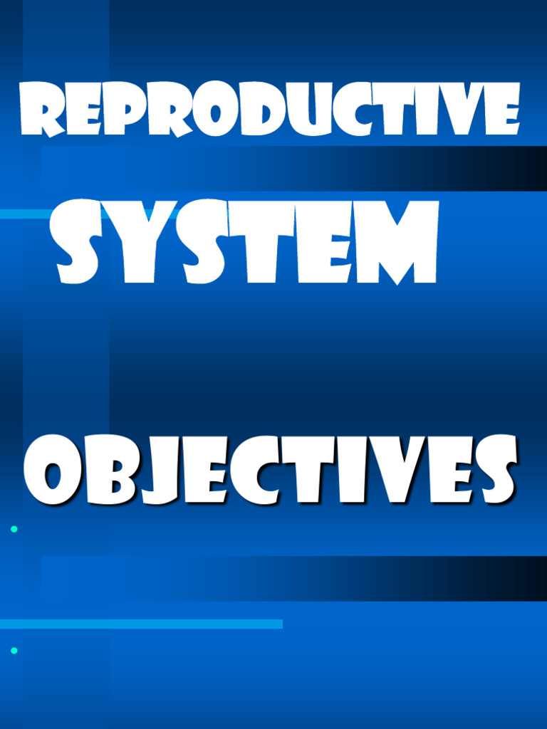 WARNING Graphical Content - Reproductive System | PDF | Menstrual Cycle ...
