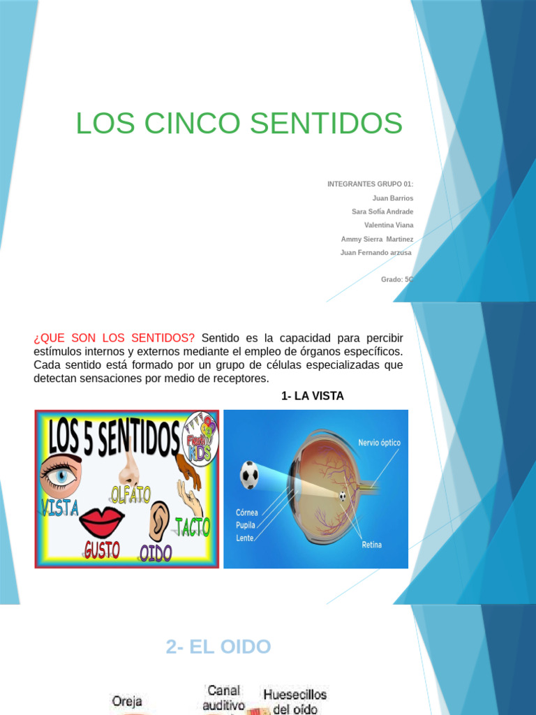 Los Cinco Sentidos: Definición y Tipos | PDF