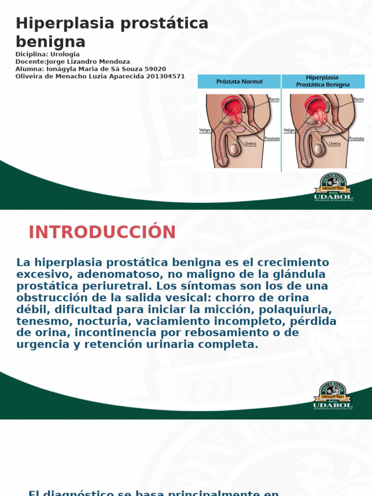 Hiperplasia Prostática: Guía Clínica | PDF | Urología | Sistema ...
