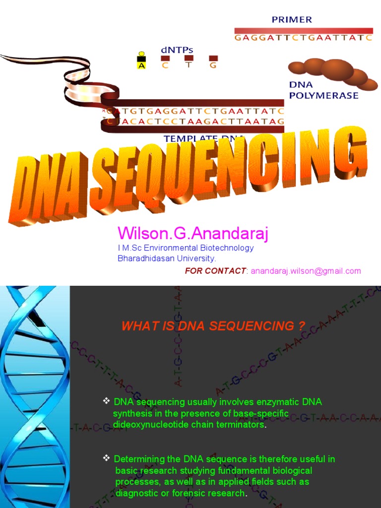 DNA SEQUENCING METHODS | Dna Sequencing | Polymerase Chain Reaction