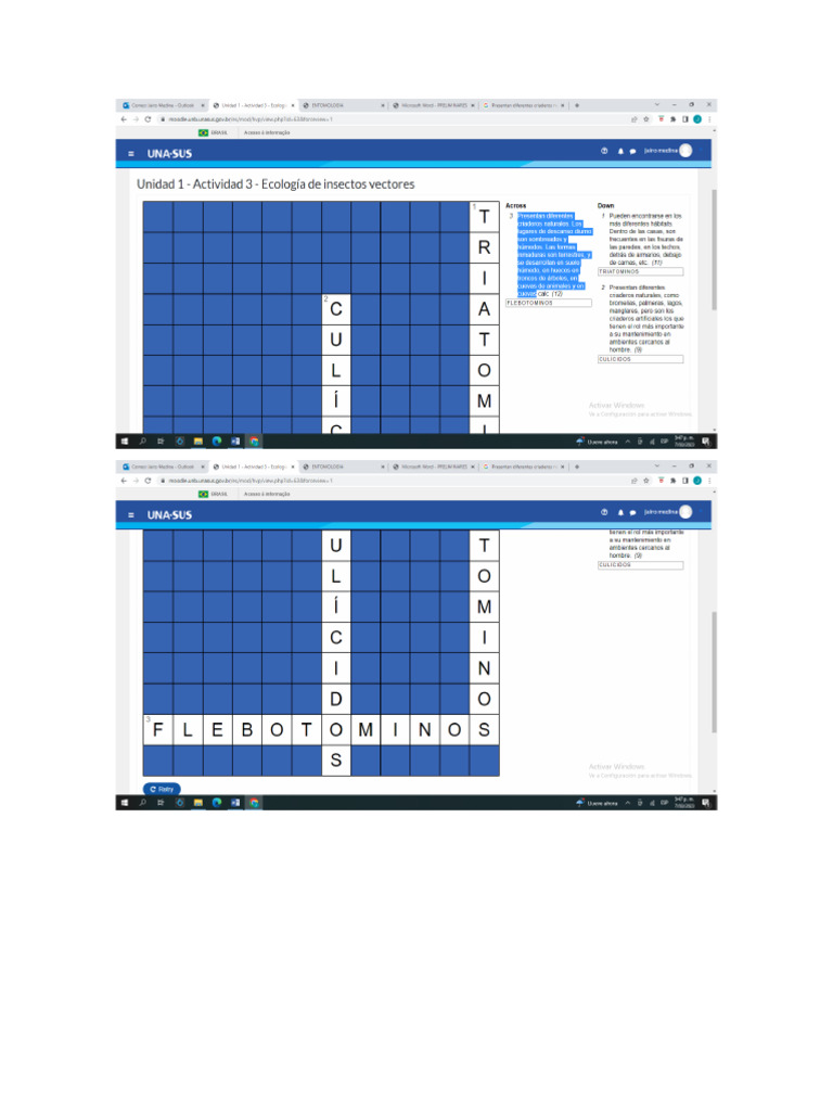 Doc2 Control de Vectores | PDF