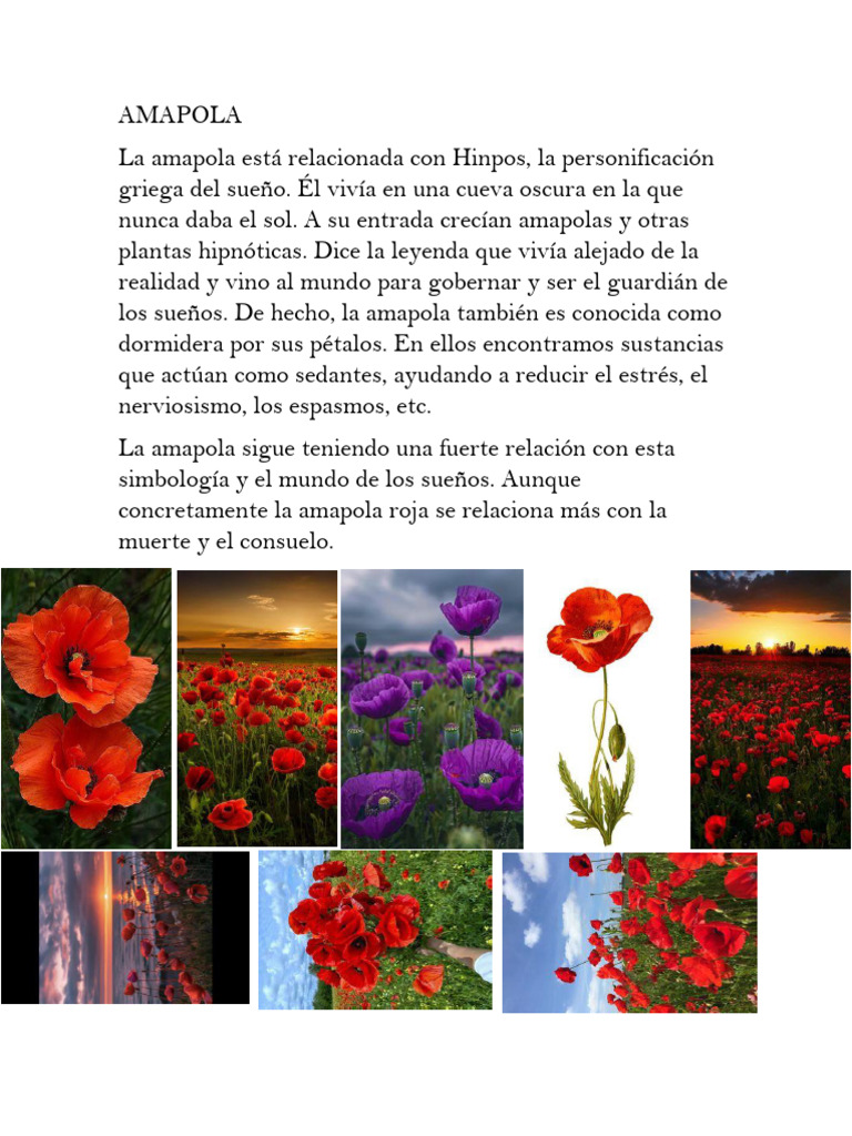 AMAPOLA | PDF