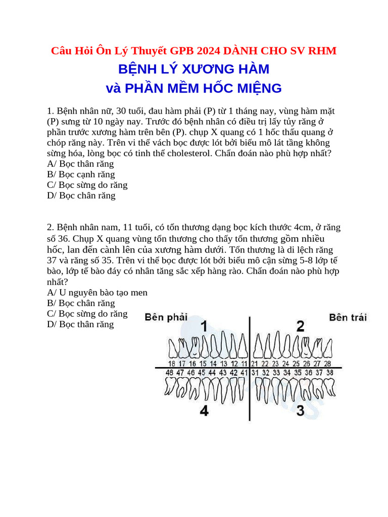 CÂU HỎI ÔN LT GPB RHM BÀI X HÀM VÀ PHẦN MỀM Ổ MIỆNG 2024 | PDF