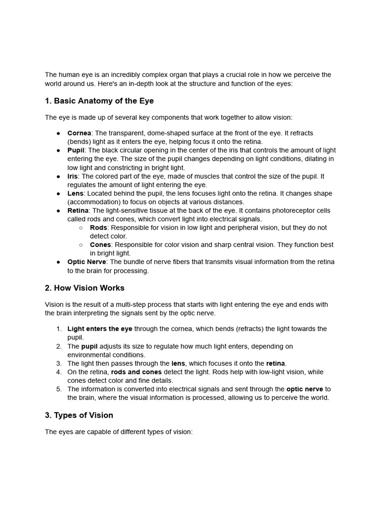 Humans Eyes | PDF | Eye | Visual Perception