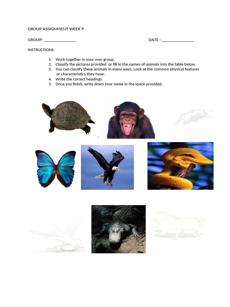 Group B Assignment Week 9 | PDF