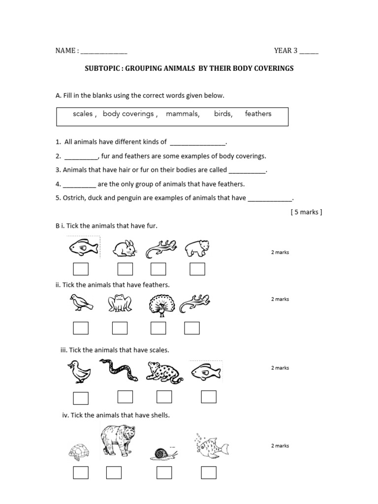Grouping Animals by Their Coverings | PDF | Fur | Feather