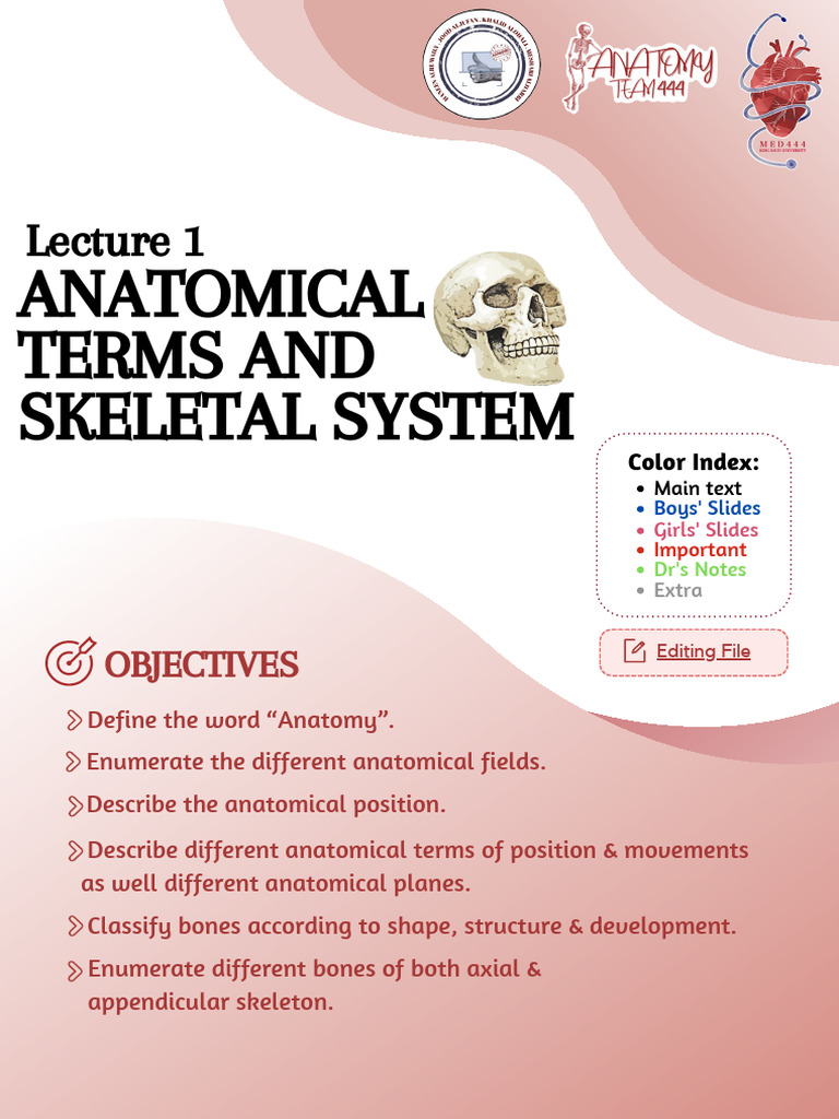 L1 - Anatomical Terms and Skeletal System | PDF | Anatomical Terms Of ...