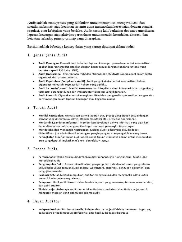 Panduan Dasar Audit | PDF