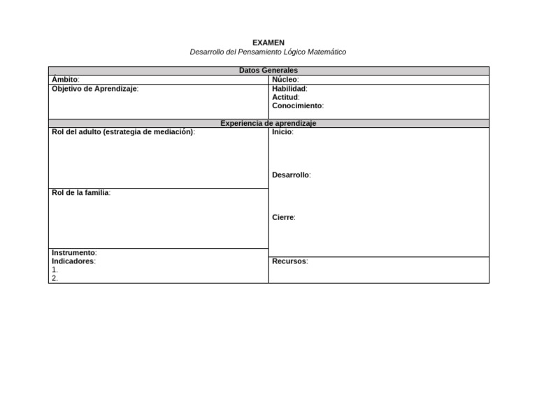 Formato EXAMEN | PDF
