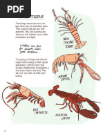 Oceans - Simon, Seymour | PDF | Tide | Tsunami