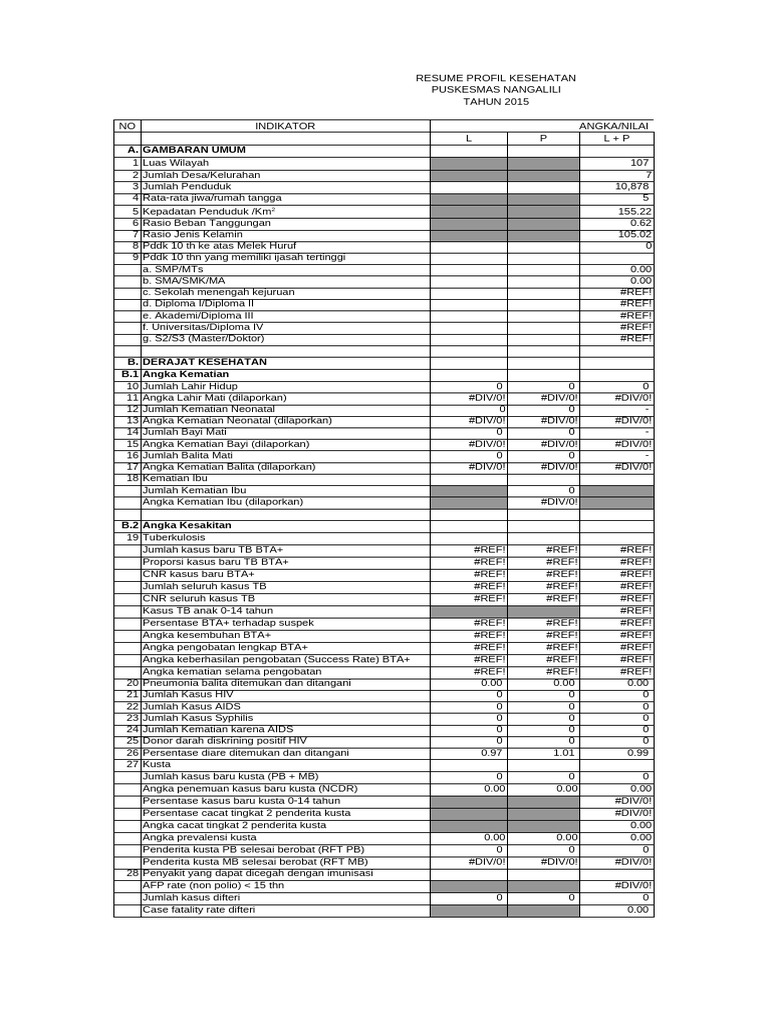 PUSK KAKOR LAMPIRAN PROFIL Format Baru | PDF
